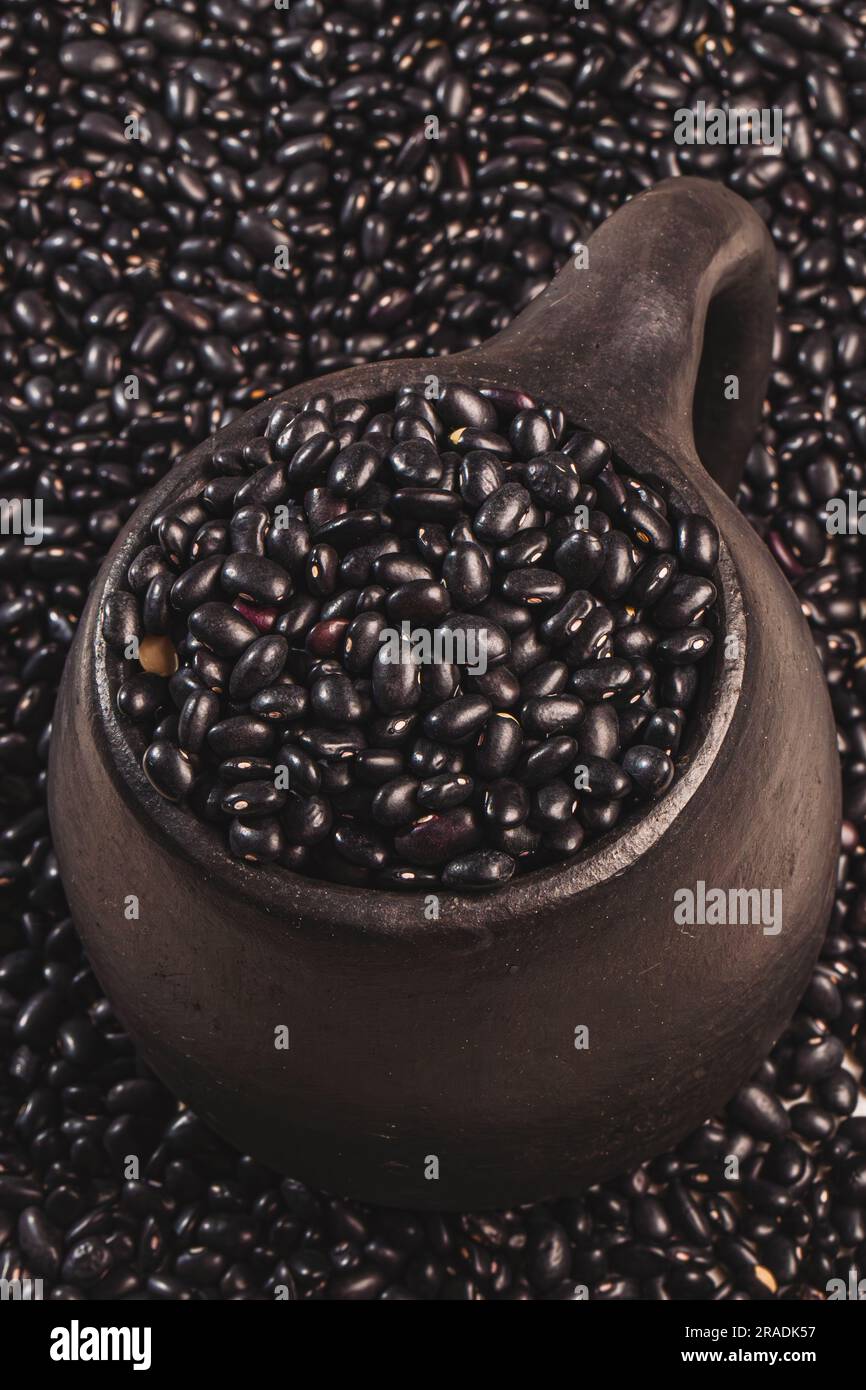 Black turtle bean - is a small, shiny variety of the common bean Stock ...