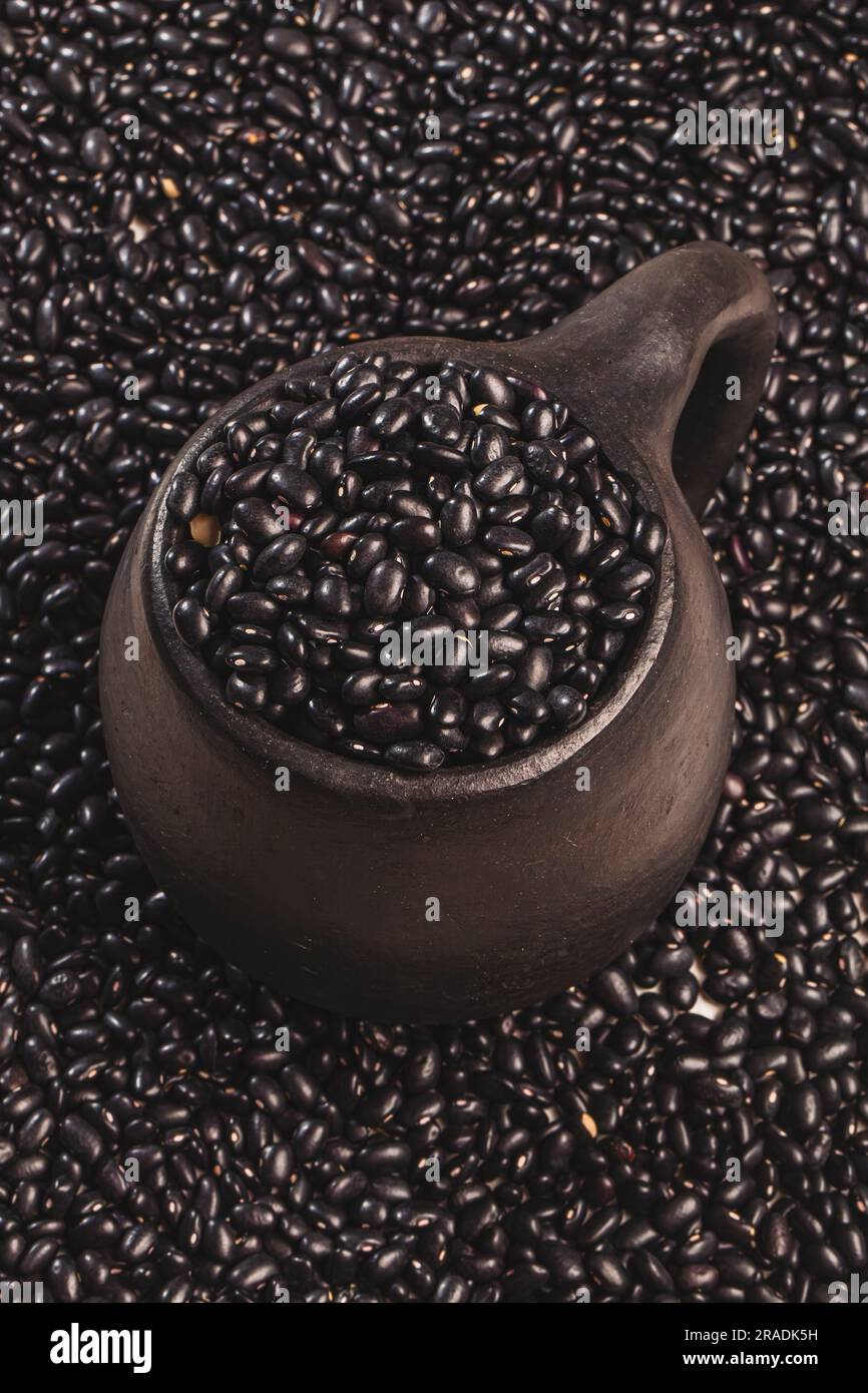 Black turtle bean - is a small, shiny variety of the common bean Stock ...