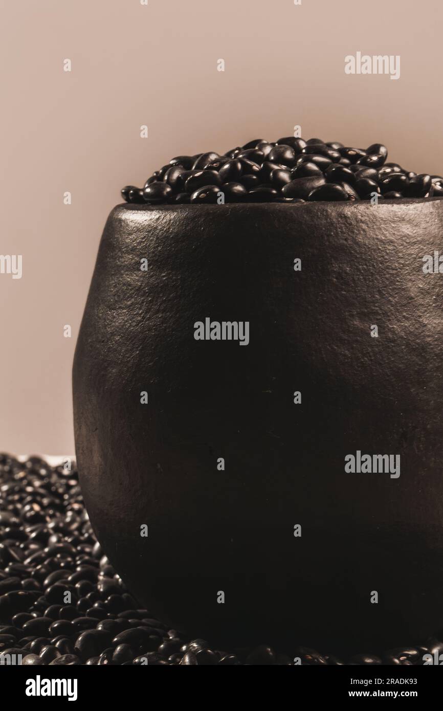 Black turtle bean - is a small, shiny variety of the common bean Stock ...