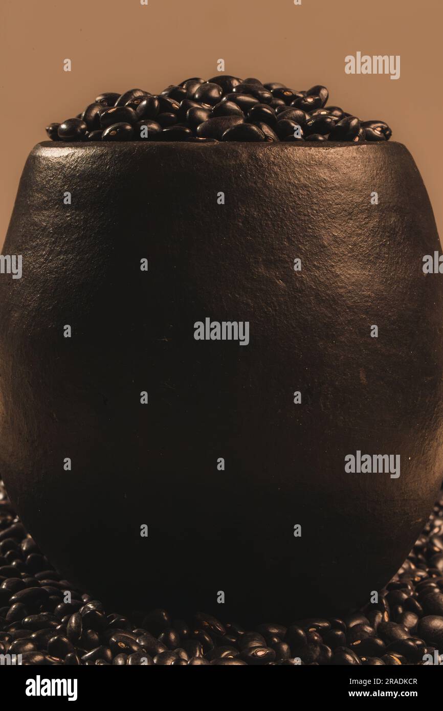 Black turtle bean - is a small, shiny variety of the common bean Stock ...