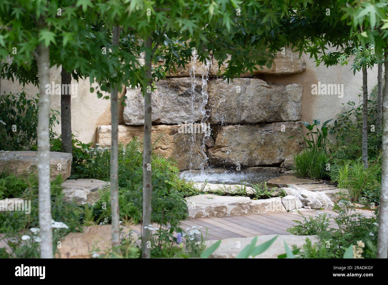 Designers emily grayshaw imogen perreau callf and jude yeo hi-res stock photography and images ...