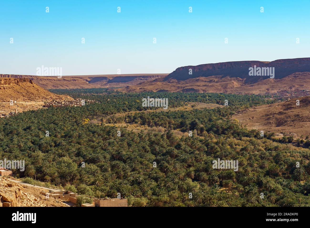 North Africa. Morocco. Huge Tafilalet palm grove in Ziz valley Stock ...