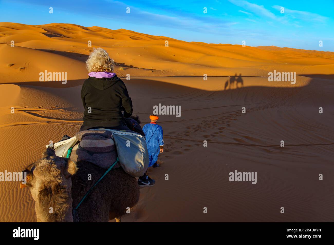 North Africa. Morocco. Merzouga. Tourists take a camel ride in the ...