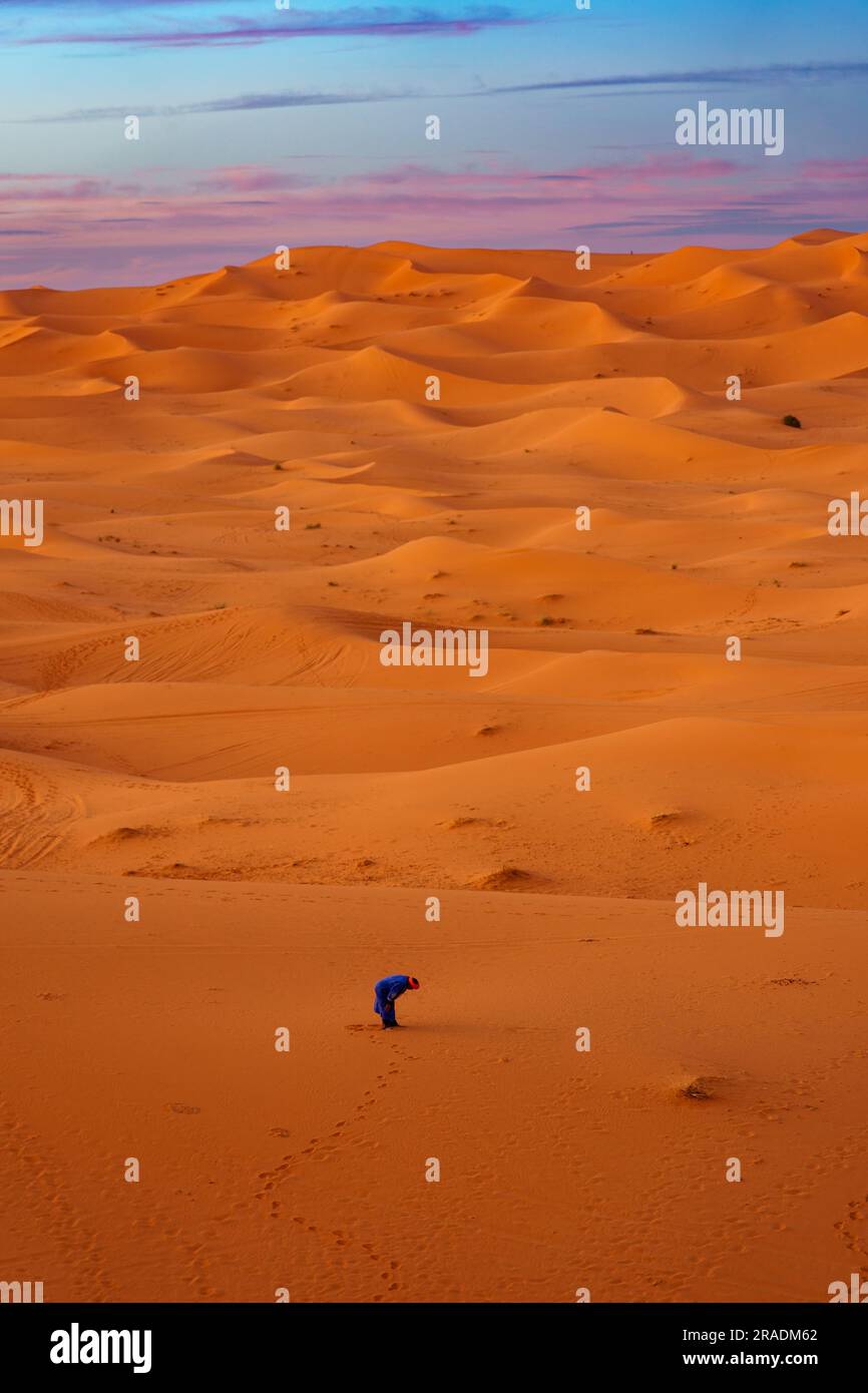 North Africa. Morocco. Merzouga. A Muslim man prays in the sand dunes ...