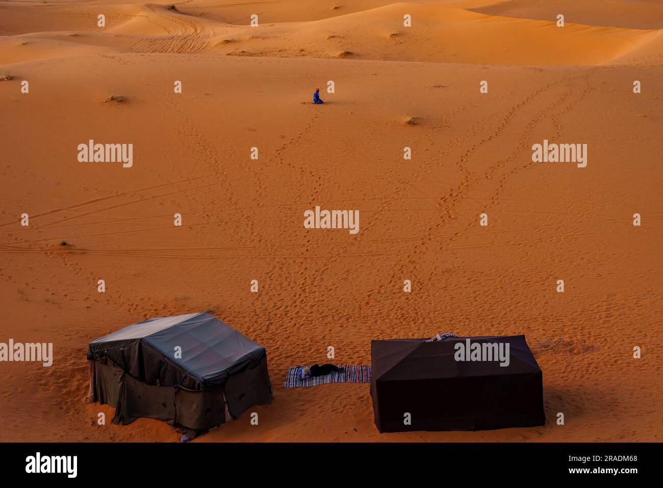 North Africa. Morocco. Merzouga. A Muslim man prays in the sand dunes ...