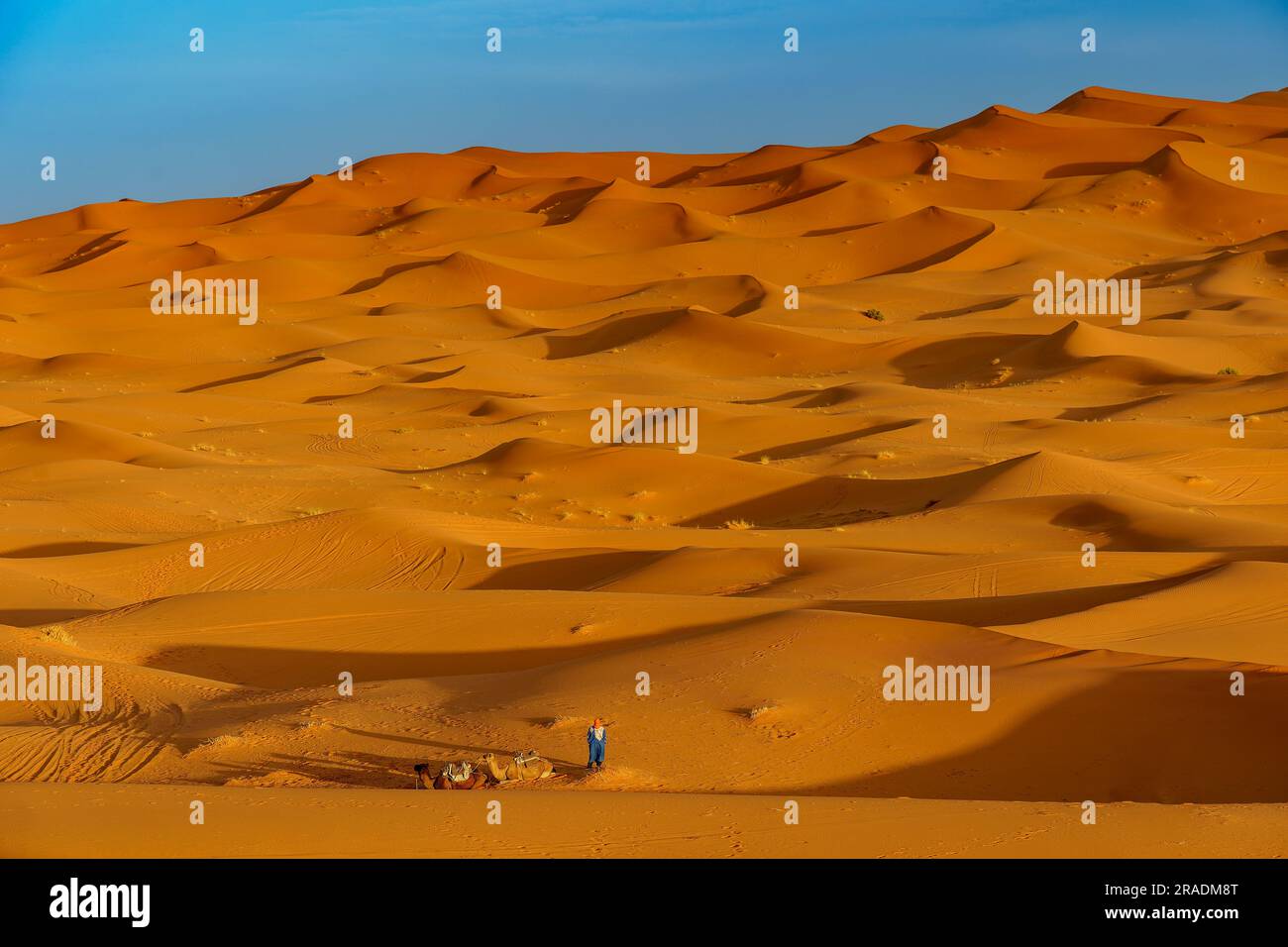 North Africa. Morocco. Merzouga. Sand dunes of Sahara desert In the ...