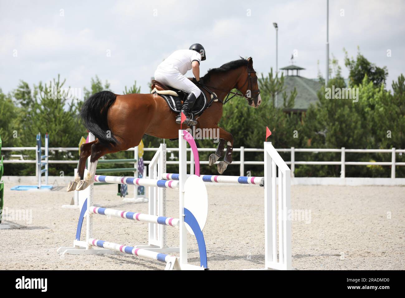 horse and rider on a horse in show jumping competition Stock Photo - Alamy
