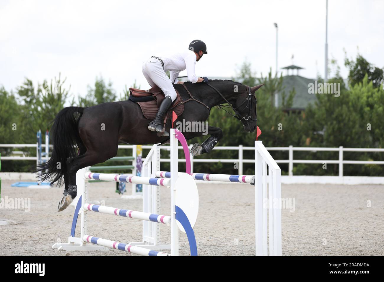 horse and rider on a horse in show jumping competition Stock Photo - Alamy