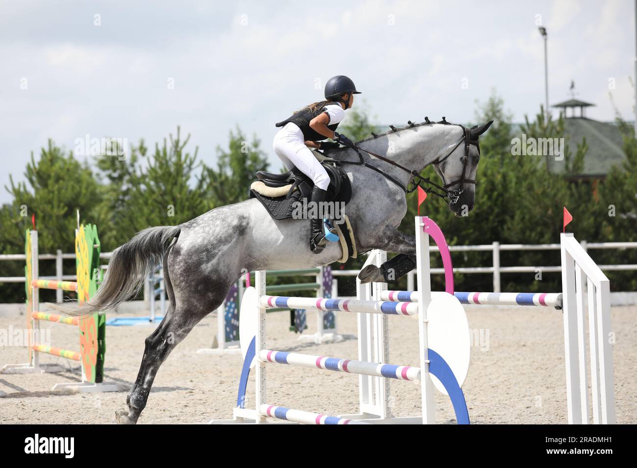 Grey horse showjumping hi-res stock photography and images - Alamy
