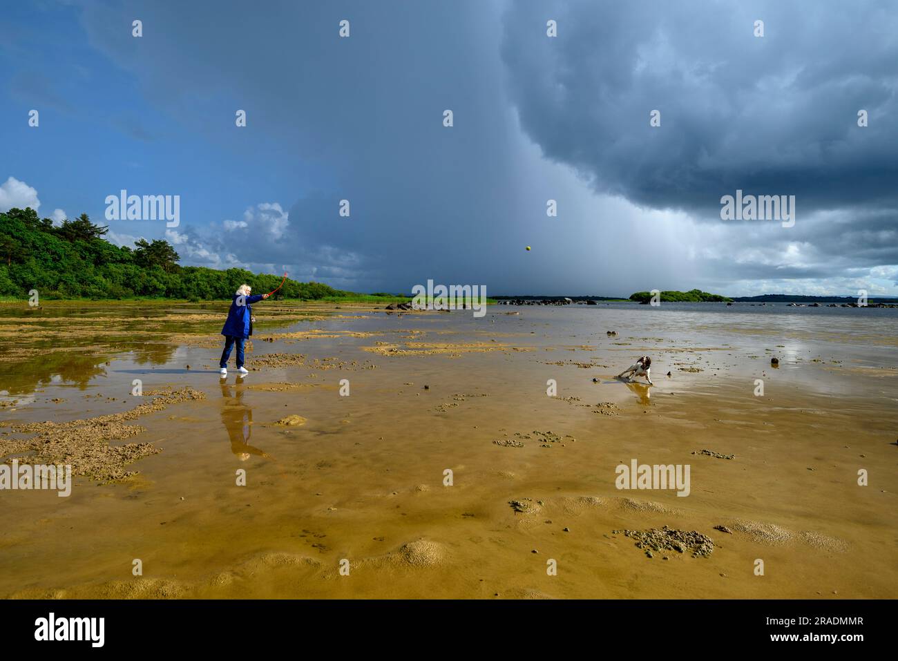 Woman walking dog on the shore of Lough Cullin, Pontoon, County Mayo ...