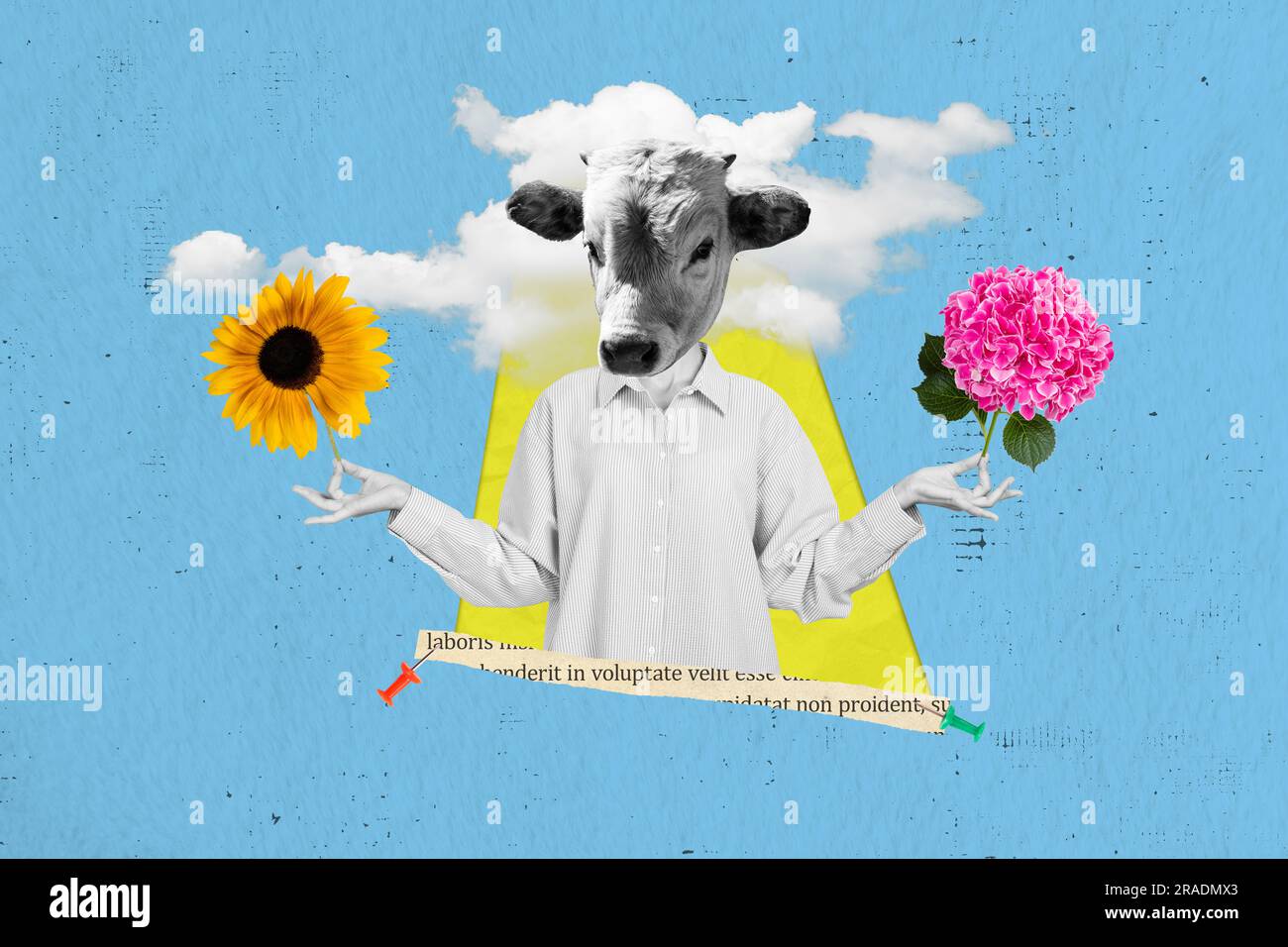 Creative collage of black white colors girl cow head arms fingers ...