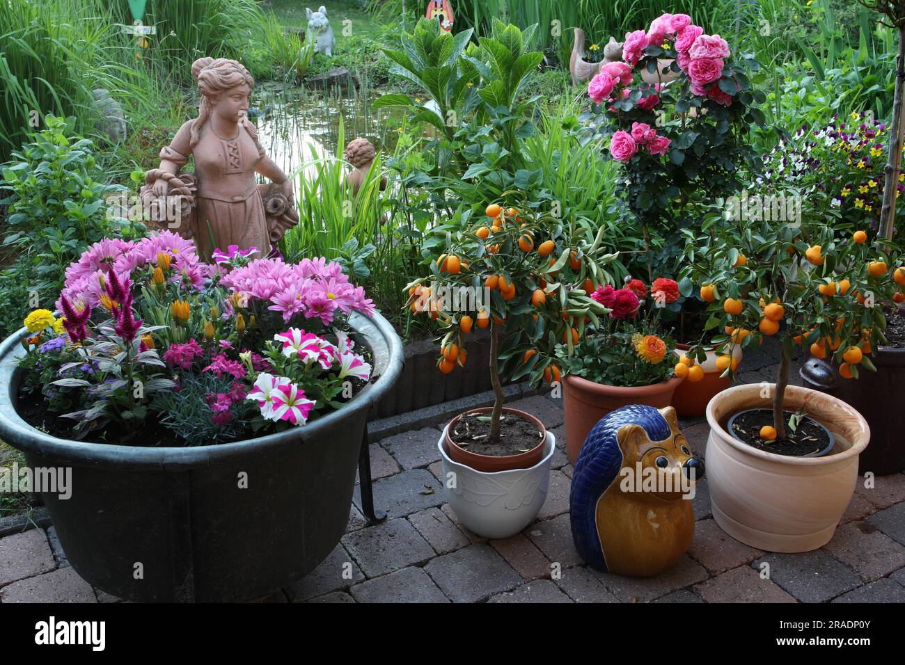 Garden with pond in spring Stock Photo - Alamy