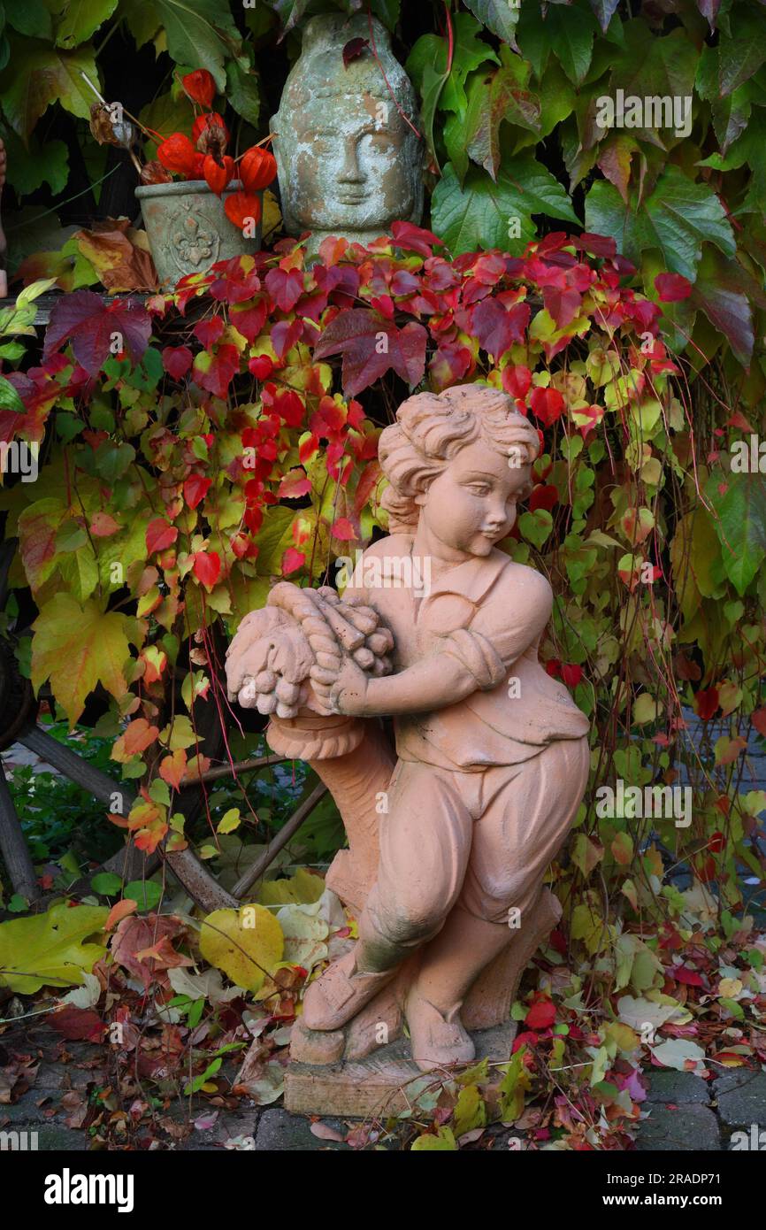Vine terrace garden hi-res stock photography and images - Alamy