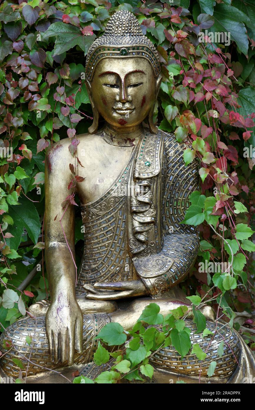 Central figure of buddha hi-res stock photography and images - Alamy