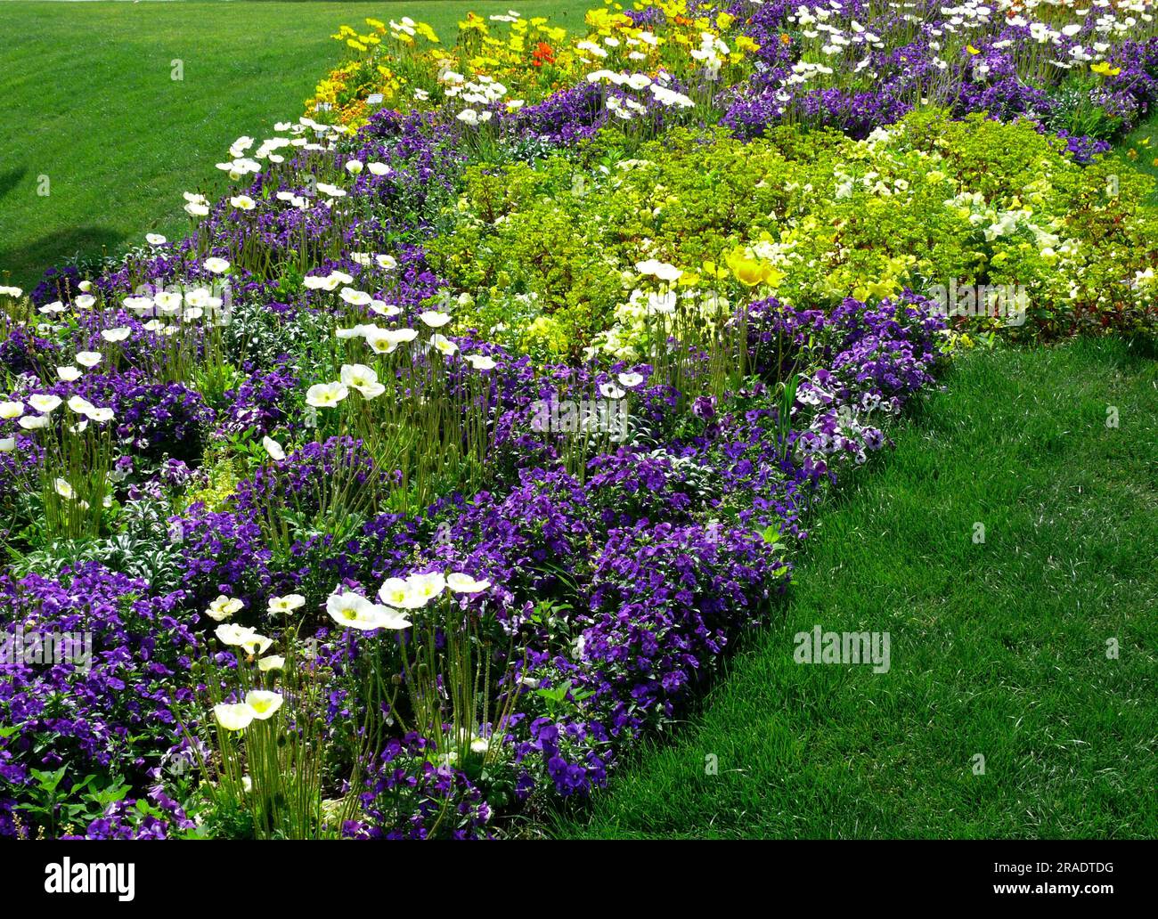 Bad Rappenau State Garden Show, flower bed Stock Photo - Alamy