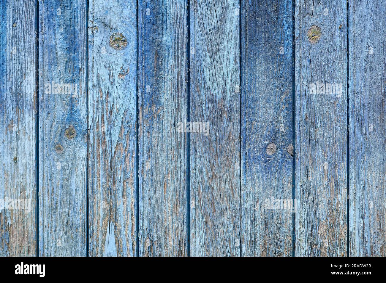 Abstract Rustic aged closeup of barn wood panel painted with light blue ...
