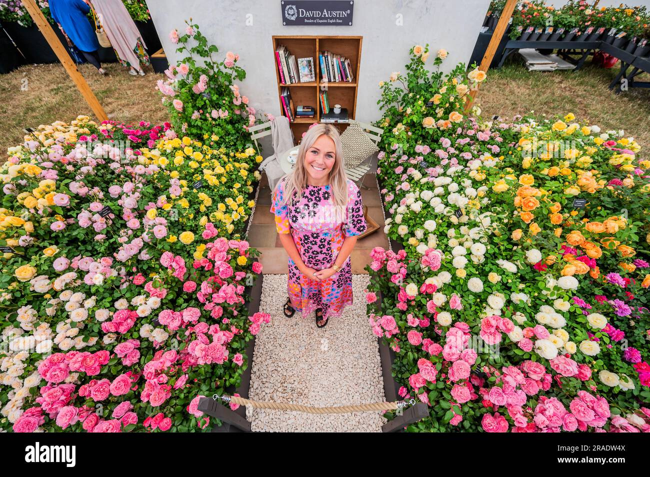 London, UK. 3rd July, 2023. David Austin roses, including the Penelope Lively new rose, in The ...
