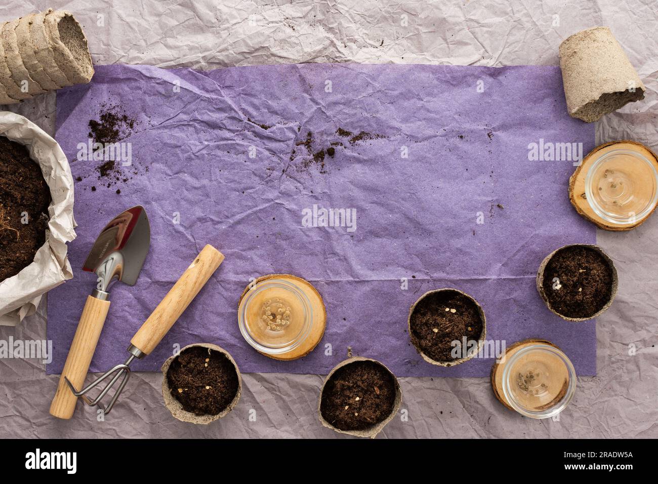 Planting Seedlings Of Tomato Top View On A Table With Eco Friendly 0898