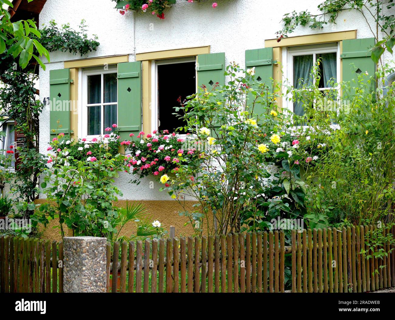 Front garden with different summers, flowers, geraniums at windows ...