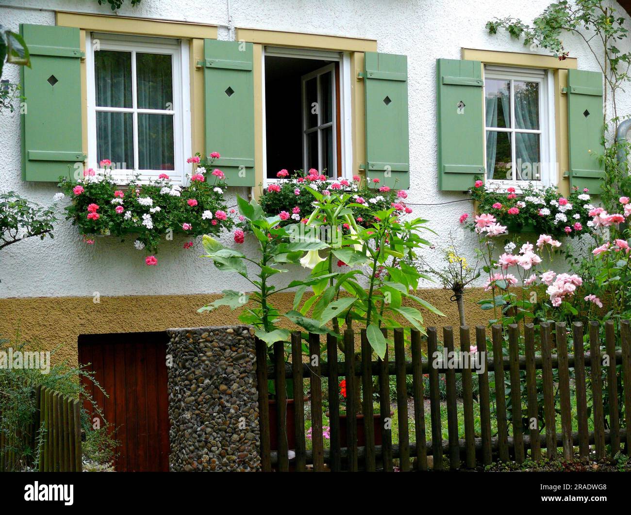 Front garden with different summers, flowers, geraniums at windows ...