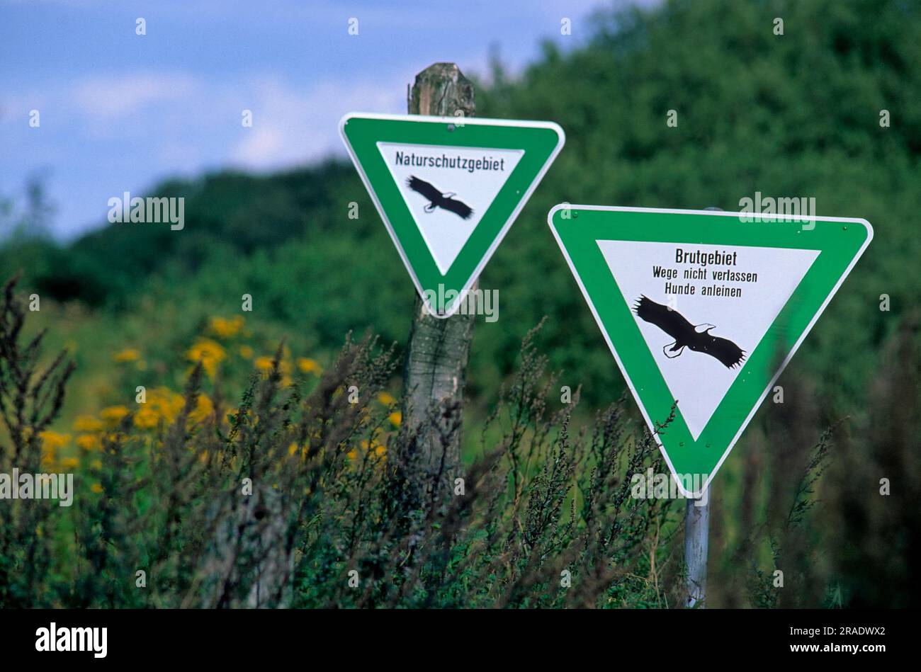 Signs, nature reserve and breeding area Stock Photo - Alamy