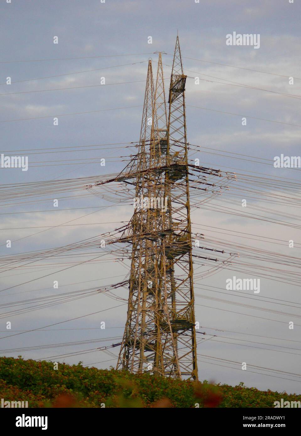 Power pylons, power lines, electrical, overhead lines, electrosmog ...