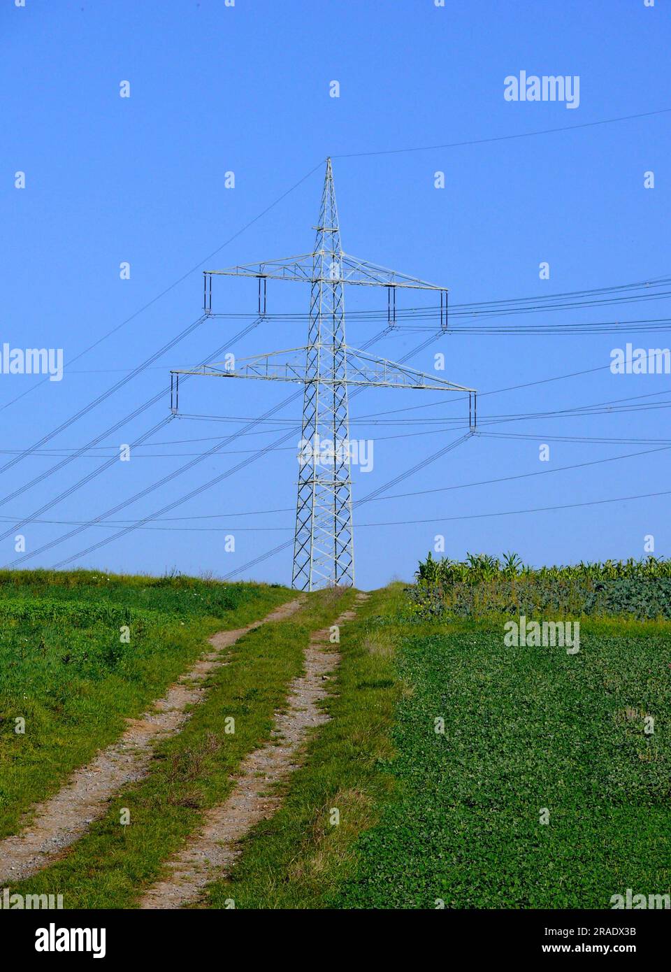 Power pylons, power lines, electrical, overhead lines, electrosmog ...