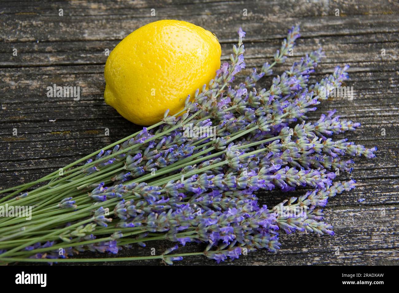 Still Life with Lavender and Lemon Stock Photo - Alamy