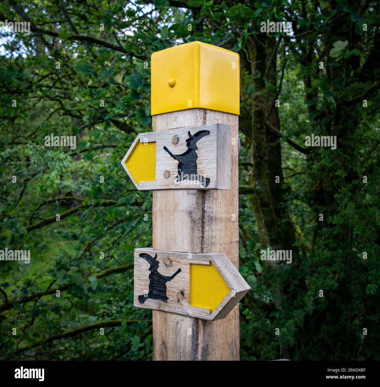 Pendle witch trial hi-res stock photography and images - Alamy