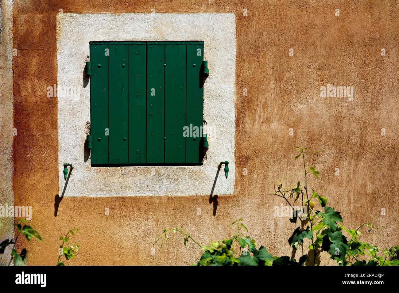 Provence, Window with Vine Stock Photo - Alamy