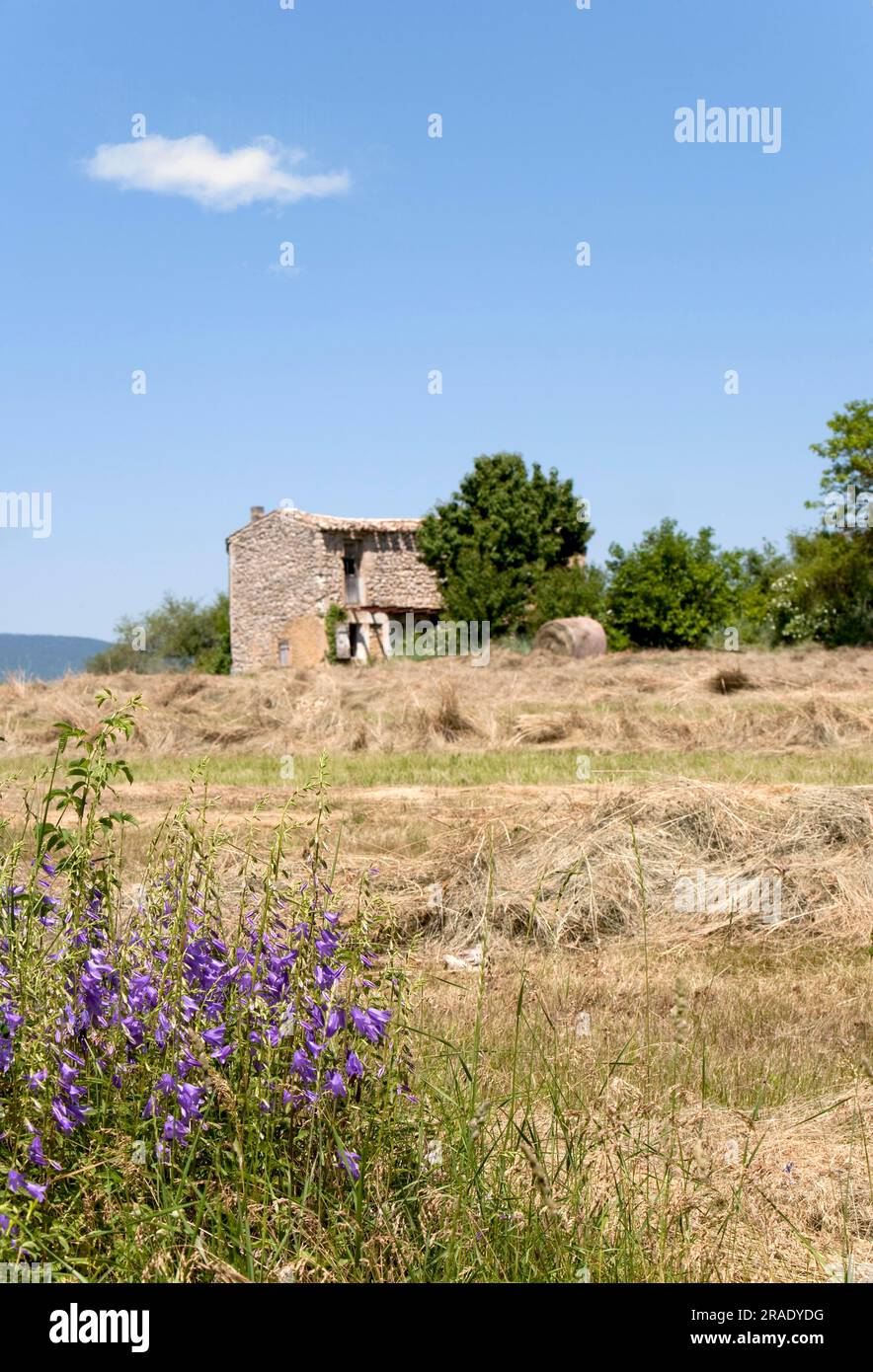 Barn run in hi-res stock photography and images - Alamy