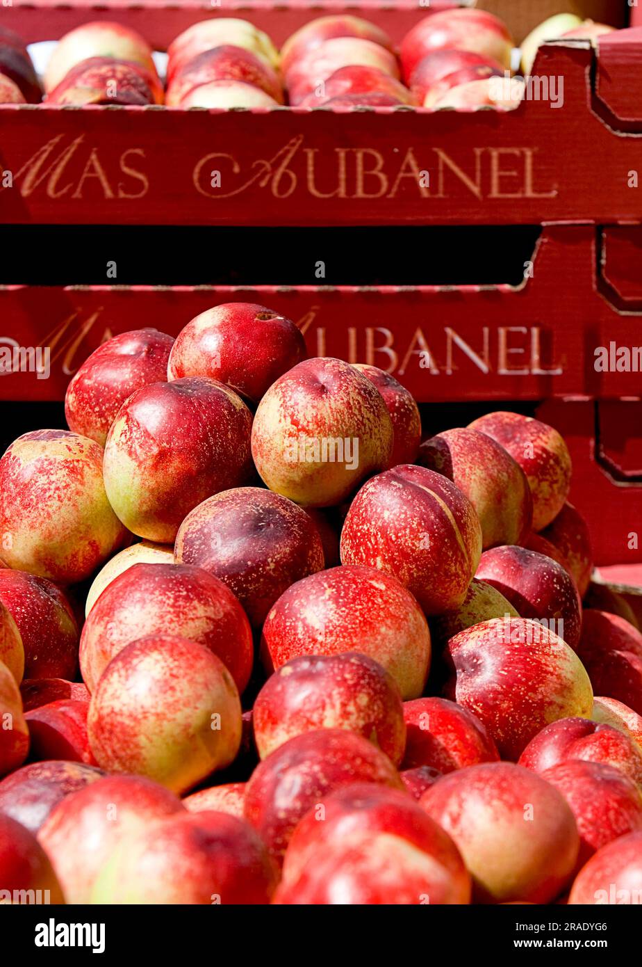Nectarines tree hi-res stock photography and images - Alamy