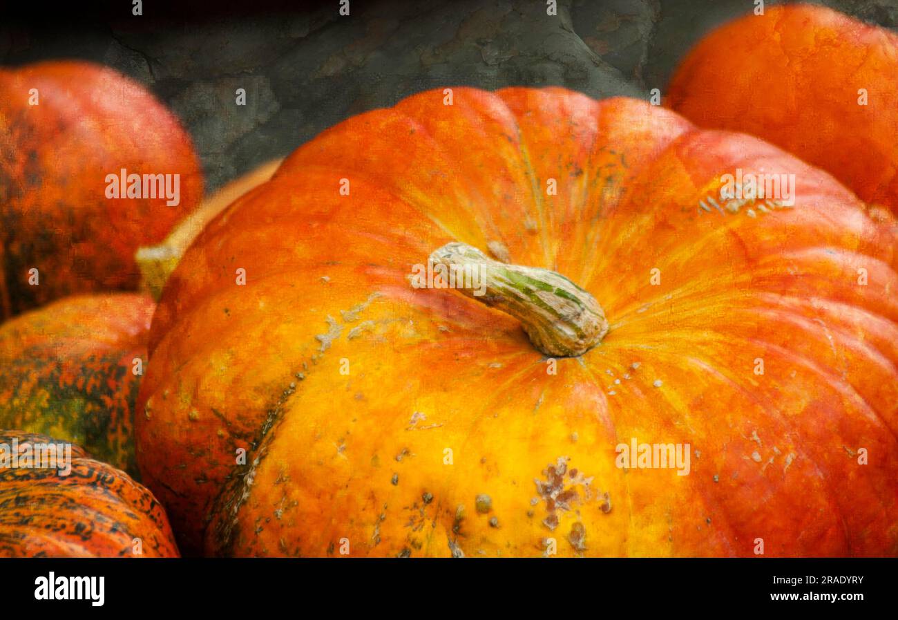 Oil pumpkin person hi-res stock photography and images - Alamy