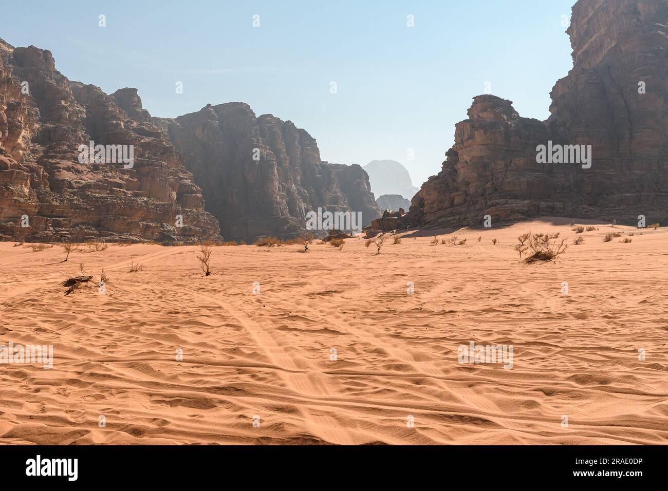 Arabian desert. Wadi Rum. Space landscape. Footprints in the sand ...
