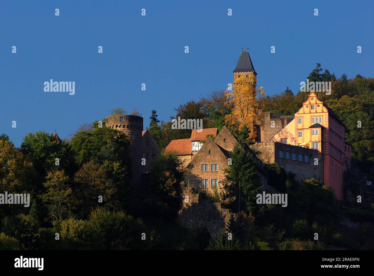 Hirschhorn Castle on the Neckar Stock Photo - Alamy