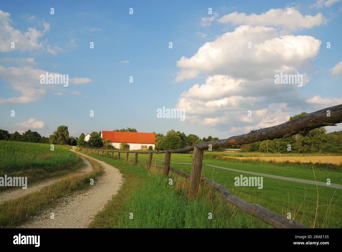 Landscape in Bavaria with a farm and a paddock Stock Photo - Alamy