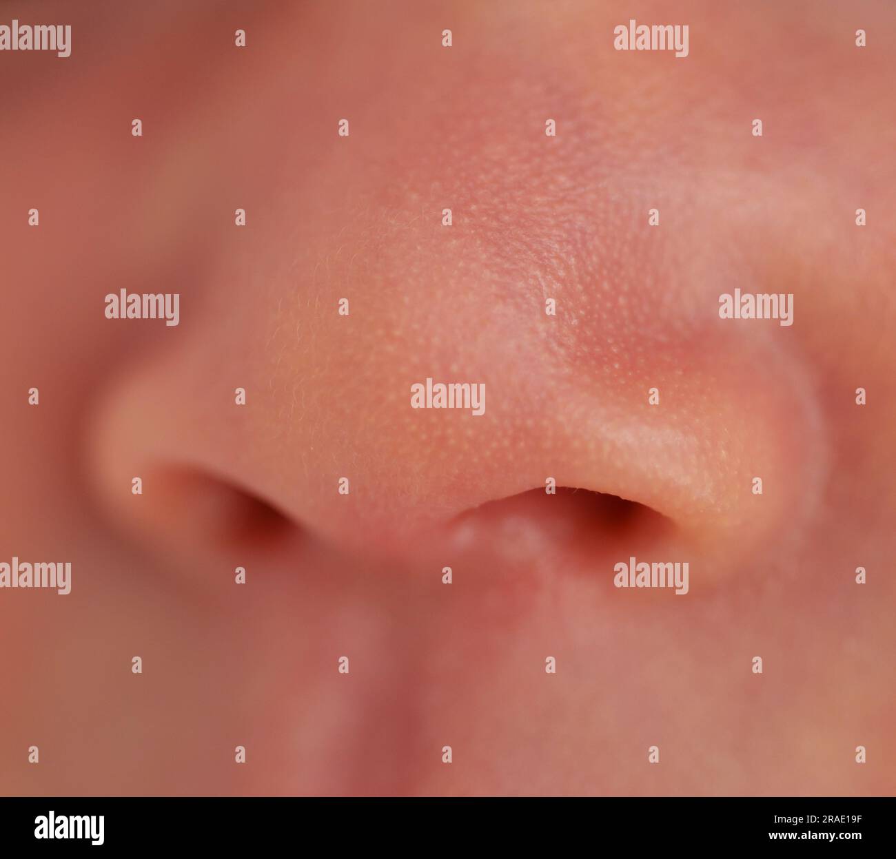 Closeup child nose hi-res stock photography and images - Alamy
