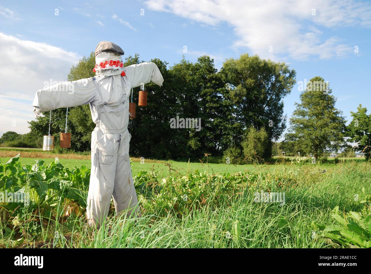Metal scarecrow hi-res stock photography and images - Alamy