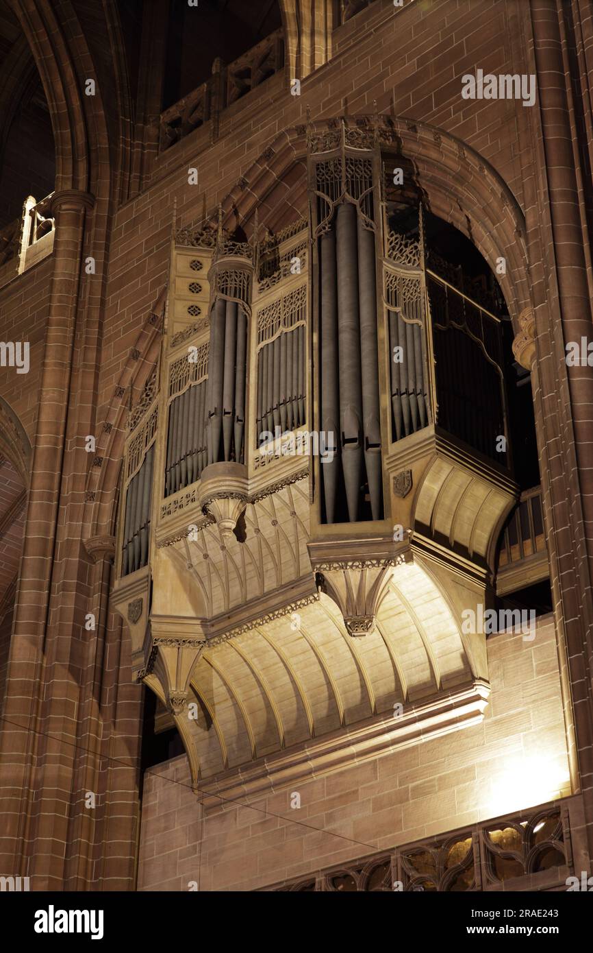 Viewed here is The Organ,an internal aspect related to Liverpool ...