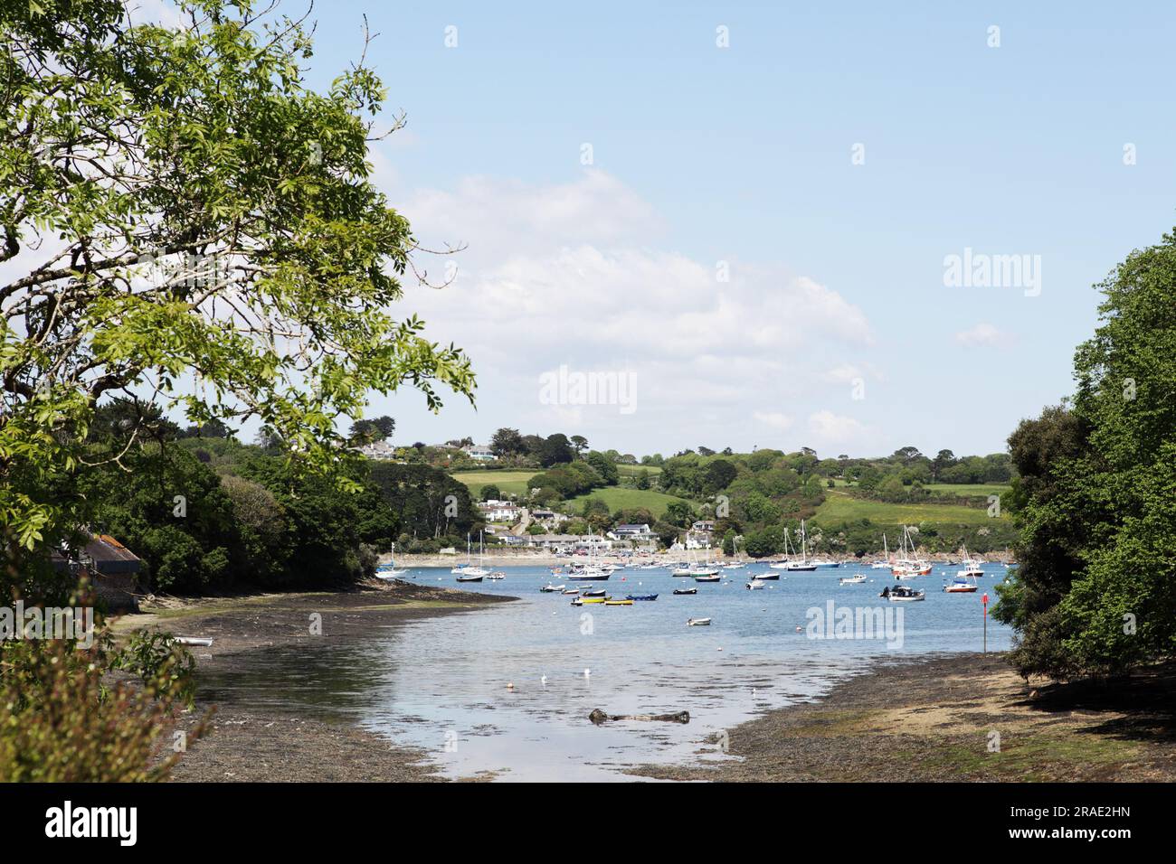 Delightful scene of the Helford River and moored boats at low tide ...