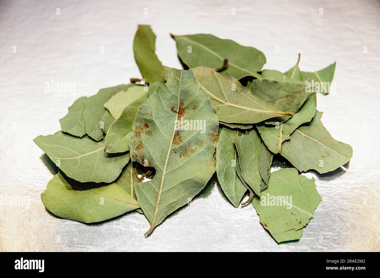 Dry green laurel leaves ready for cooking Stock Photo - Alamy