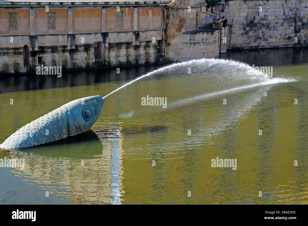 Whale river hi-res stock photography and images - Alamy