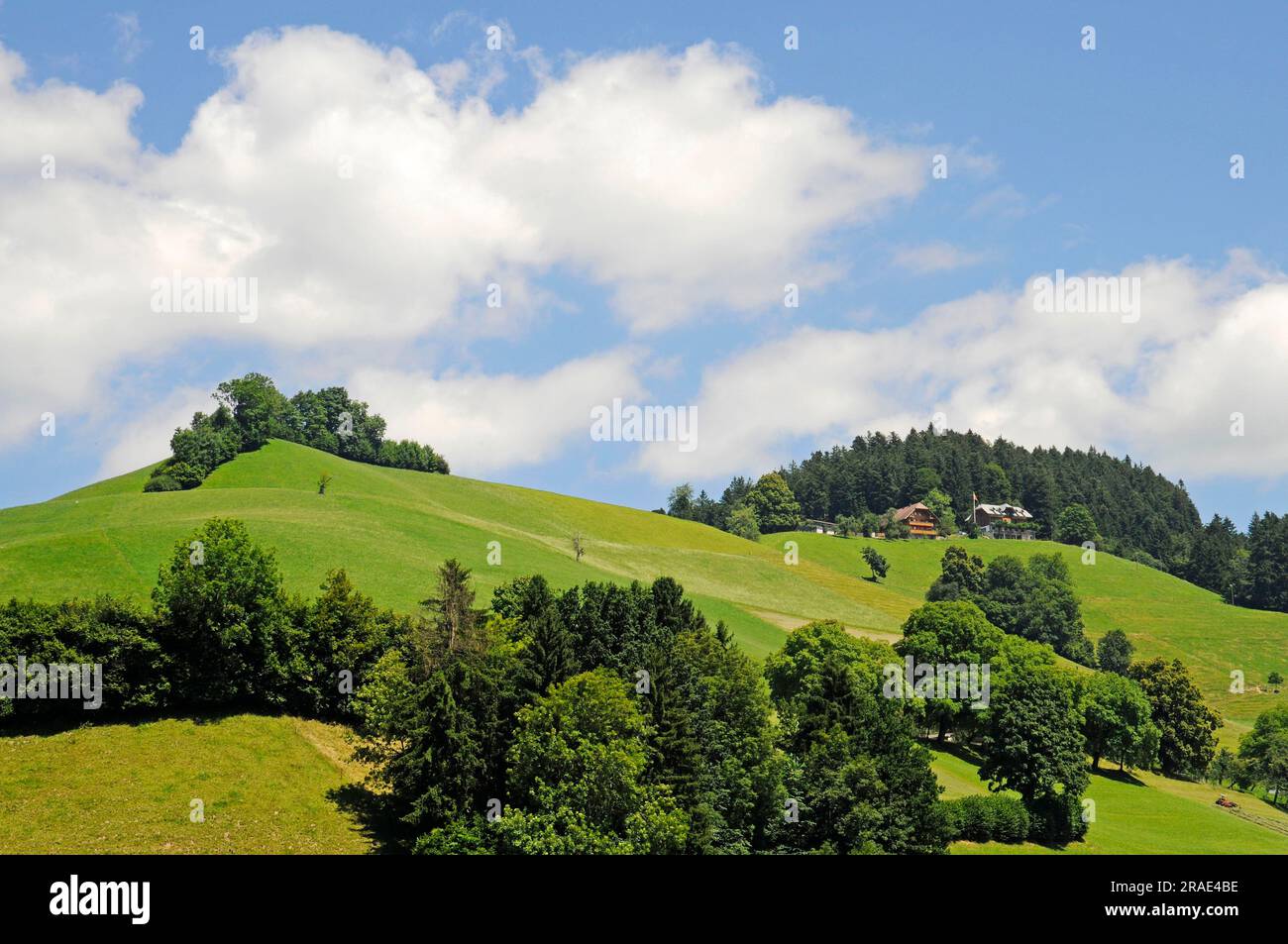 Hill, Emmental, Langnau, Bern, Switzerland Stock Photo - Alamy