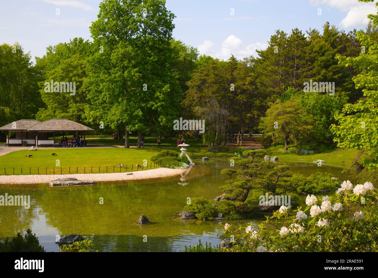 Canada japanese hi-res stock photography and images - Alamy