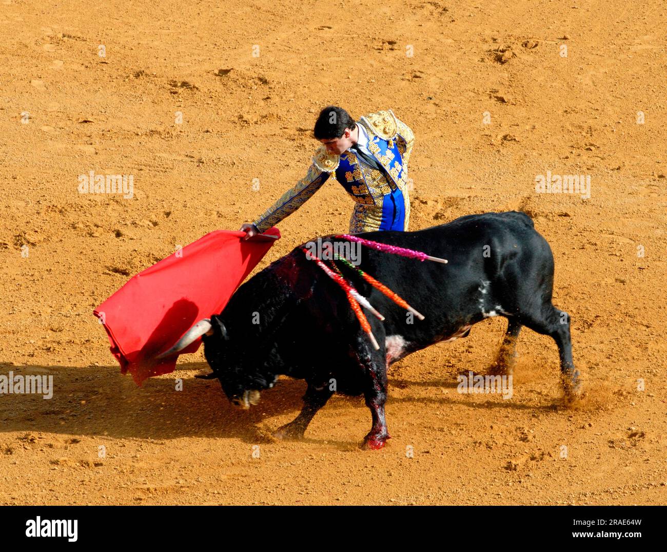 Bull fighting arena building ring hi-res stock photography and images ...