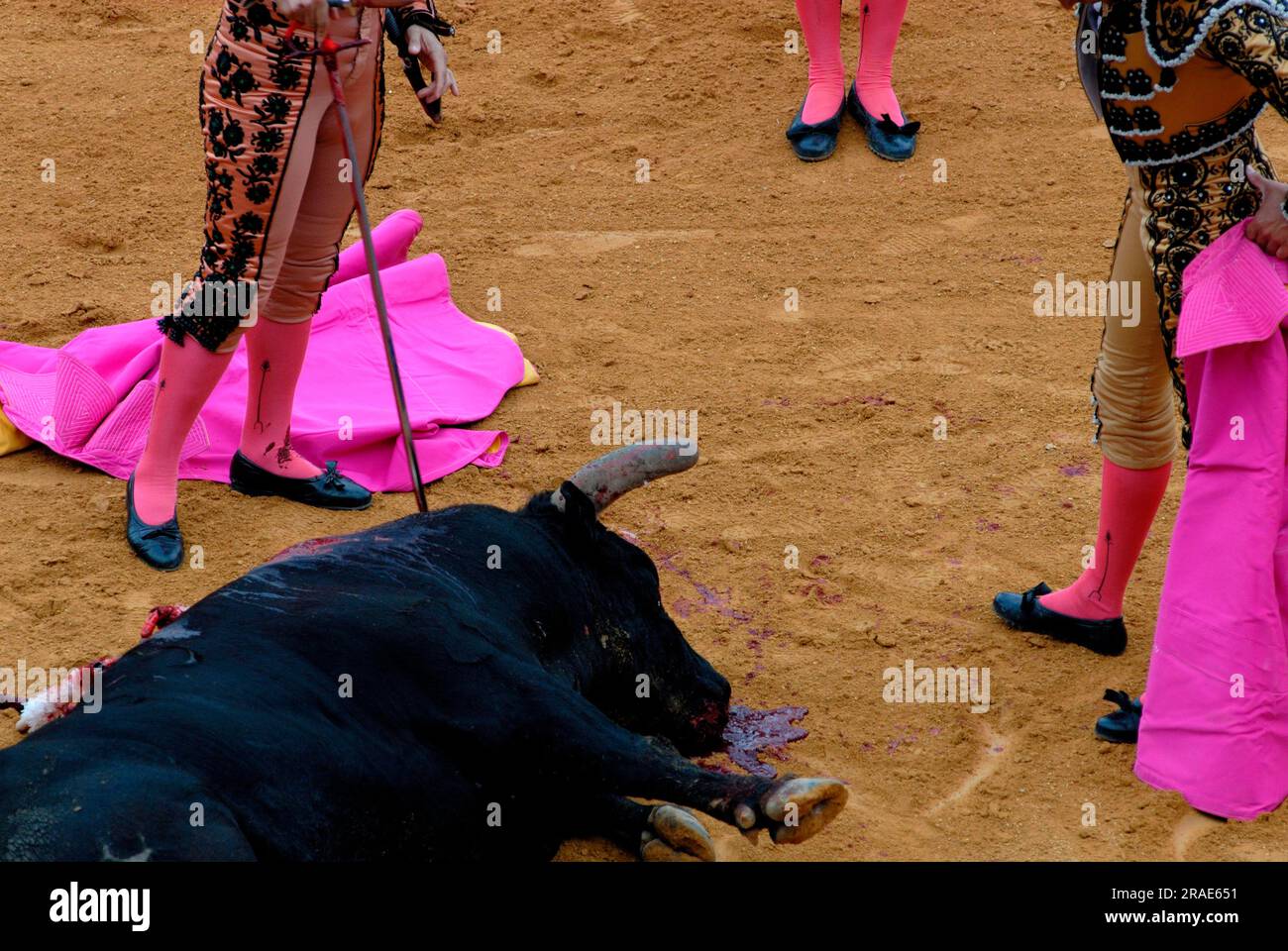 Bull fighting arena building ring hi-res stock photography and images ...