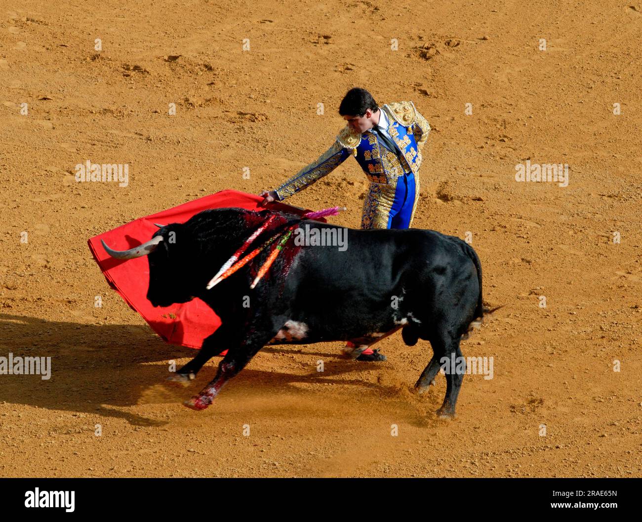 Bull fighting arena building ring hi-res stock photography and images ...