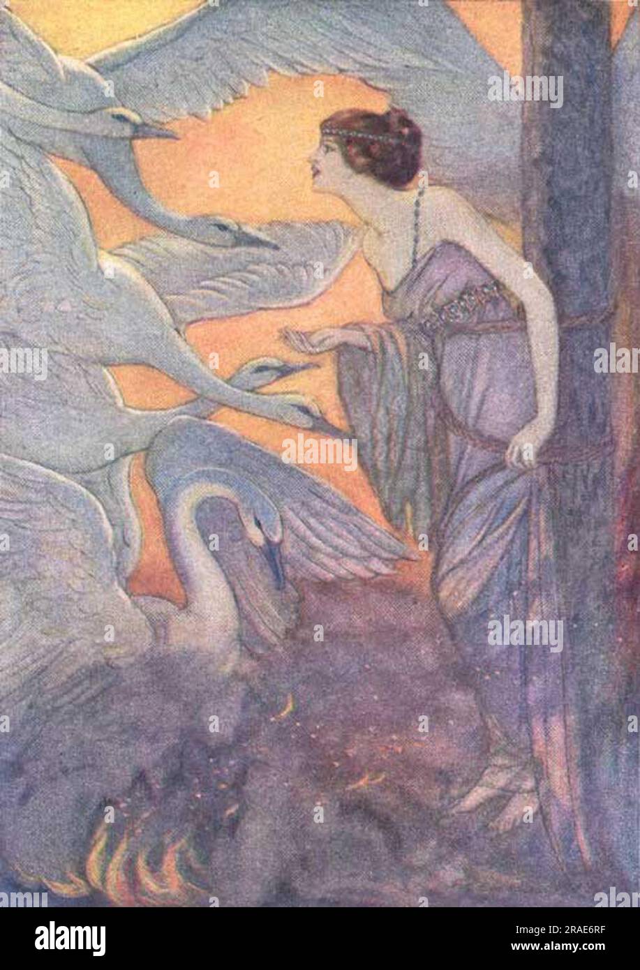 Illustration of Six Swans of Grimm's Fairy Tales 1920 by Elenore Abbott ...