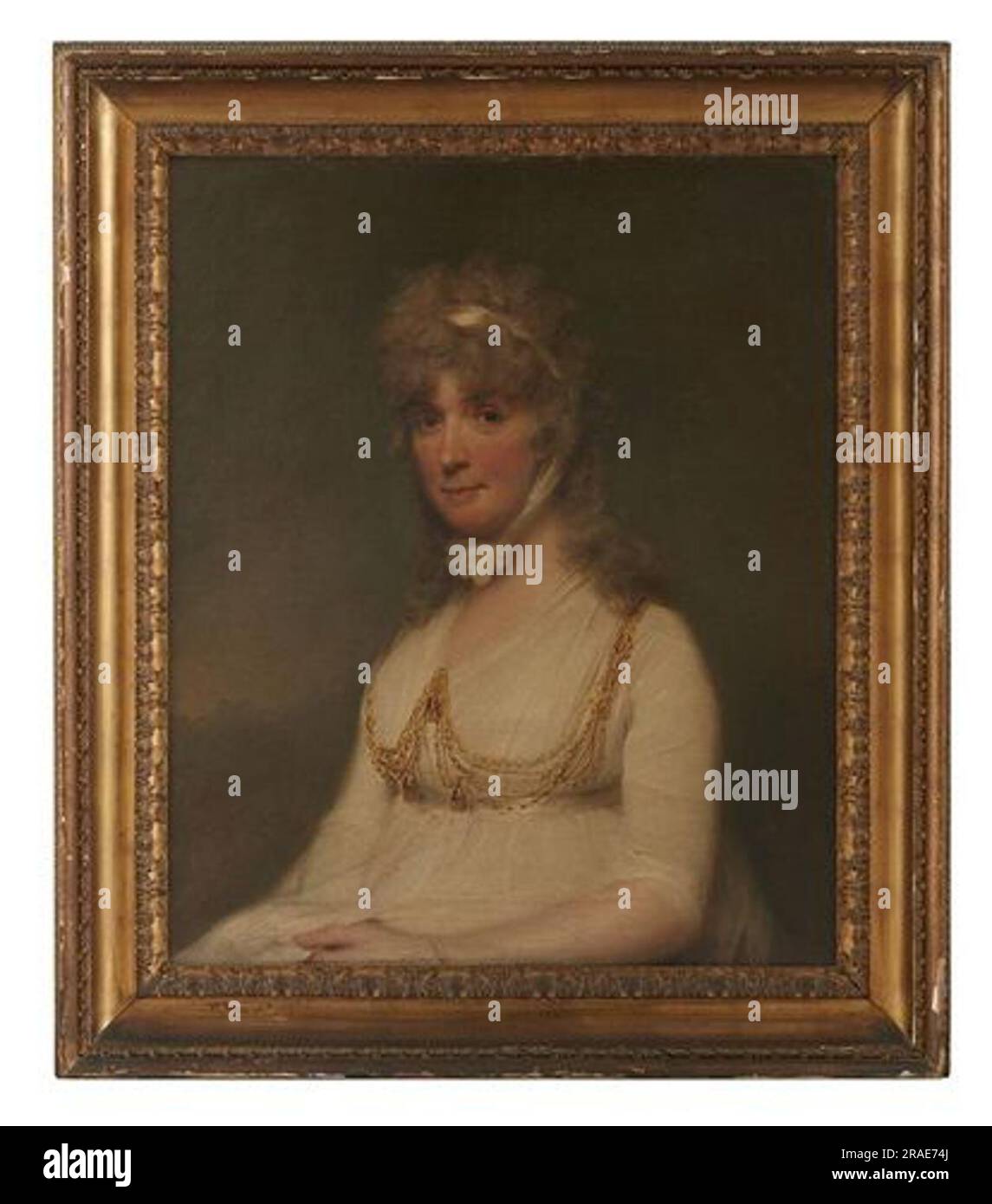 HALF LENGTH PORTRAIT OF LADY BOYDELL, LADY MAYORESS OF LONDON Stock ...
