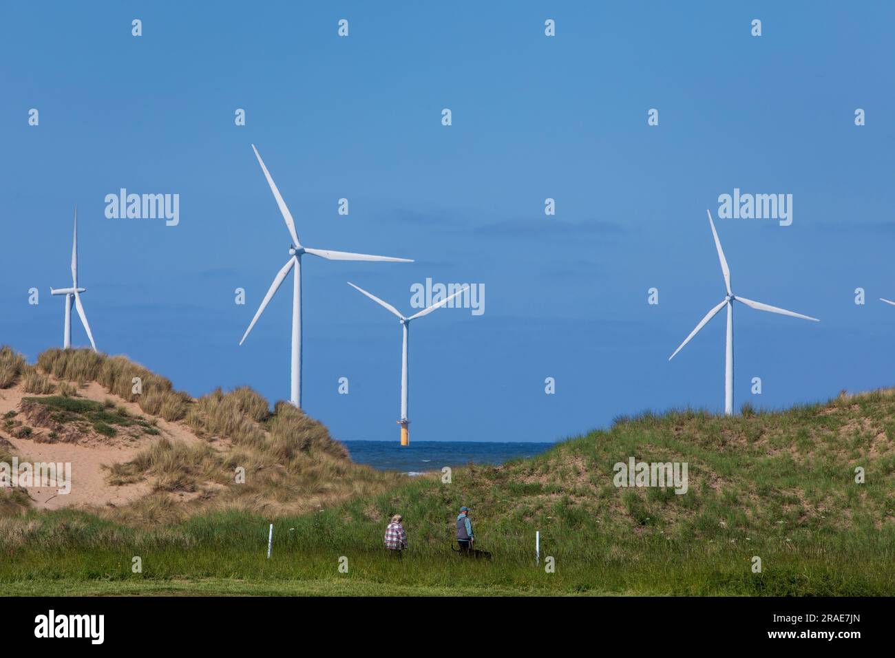 Teesside, North Yorkshire, UK. The Cleveland links golfcourse which ...